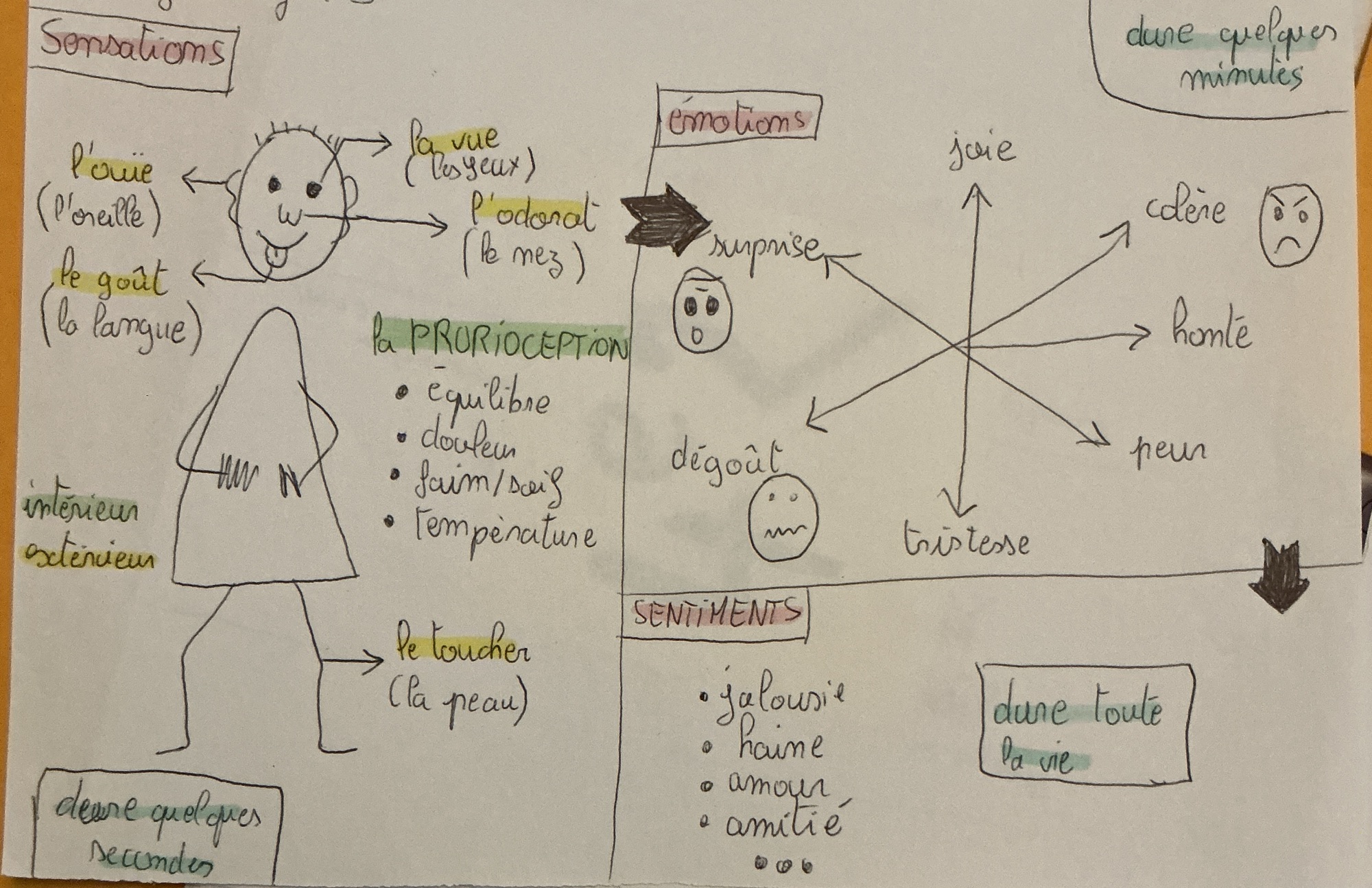 Développer l’intelligence émotionnelle des élèves – Pédagogie agile
